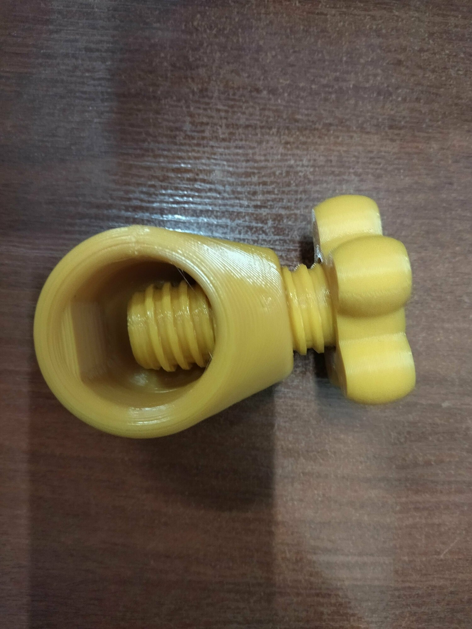 Орехокол жёлтый