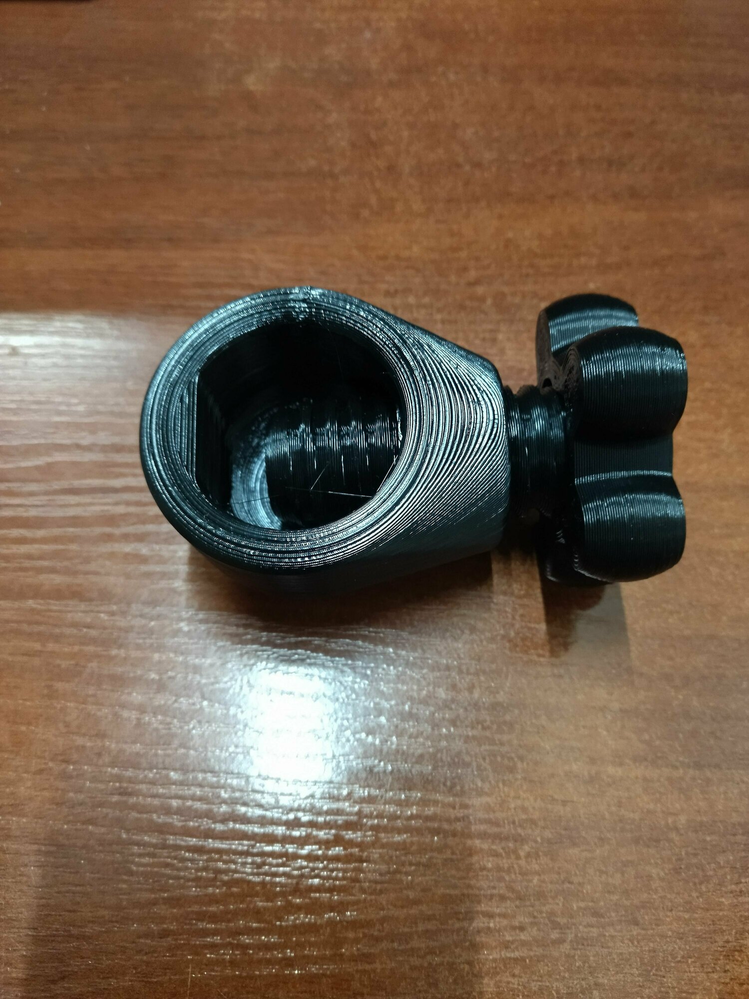 Орехокол чёрный