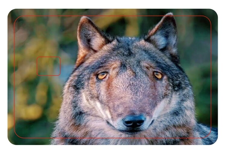 Наклейка на банковскую карту, стикер на карту, мемы, приколы, комиксы, стильная наклейка, волк, ауф