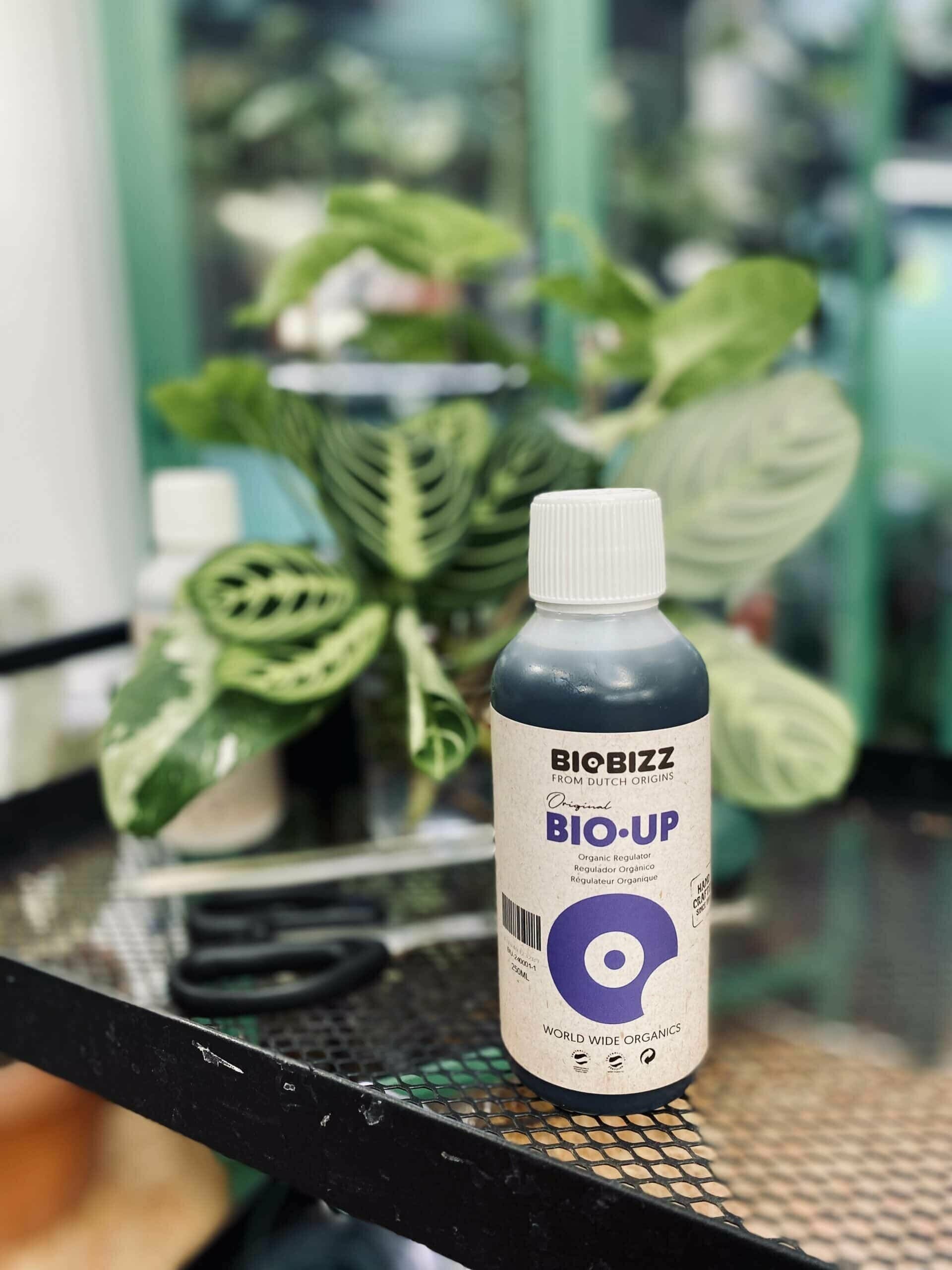 Удобрение / Регулятор кислотности pH-воды BioBizz pH Up 250 л.