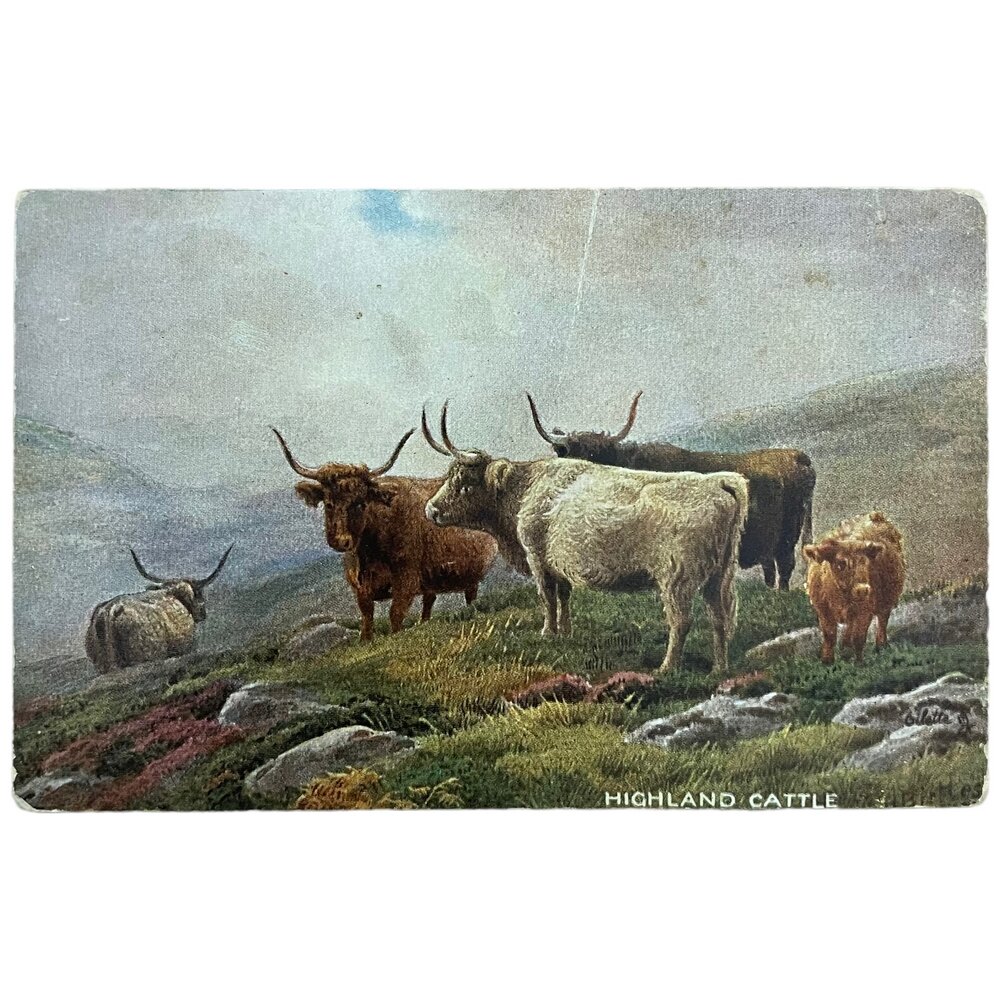 Почтовая открытка "Горный скот" 1900-1917 гг. Англия