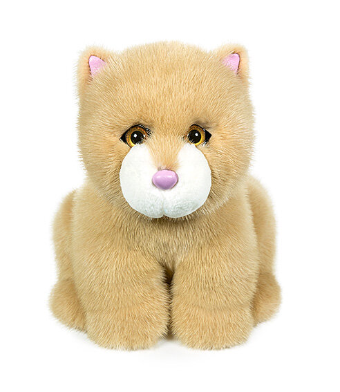 Кошечка Аннет