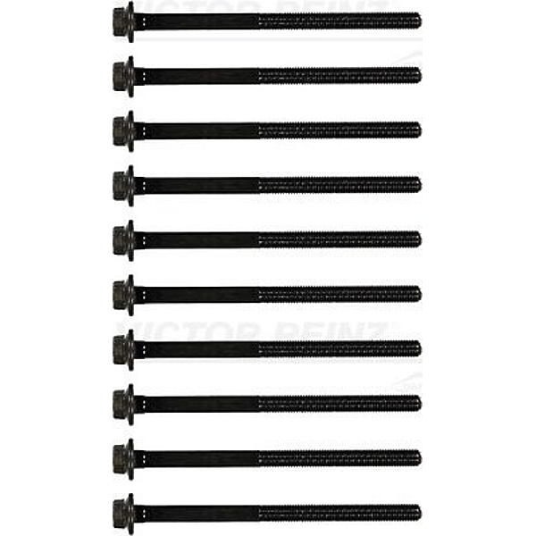 REINZ 14-32169-01 (607208 / 60720810X / 71739374) комплект болтов головки цилидра