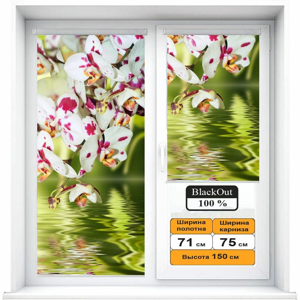 Рулонная штора Блэкаут (Blackout) с фотопечатью Орхидея 71х150см