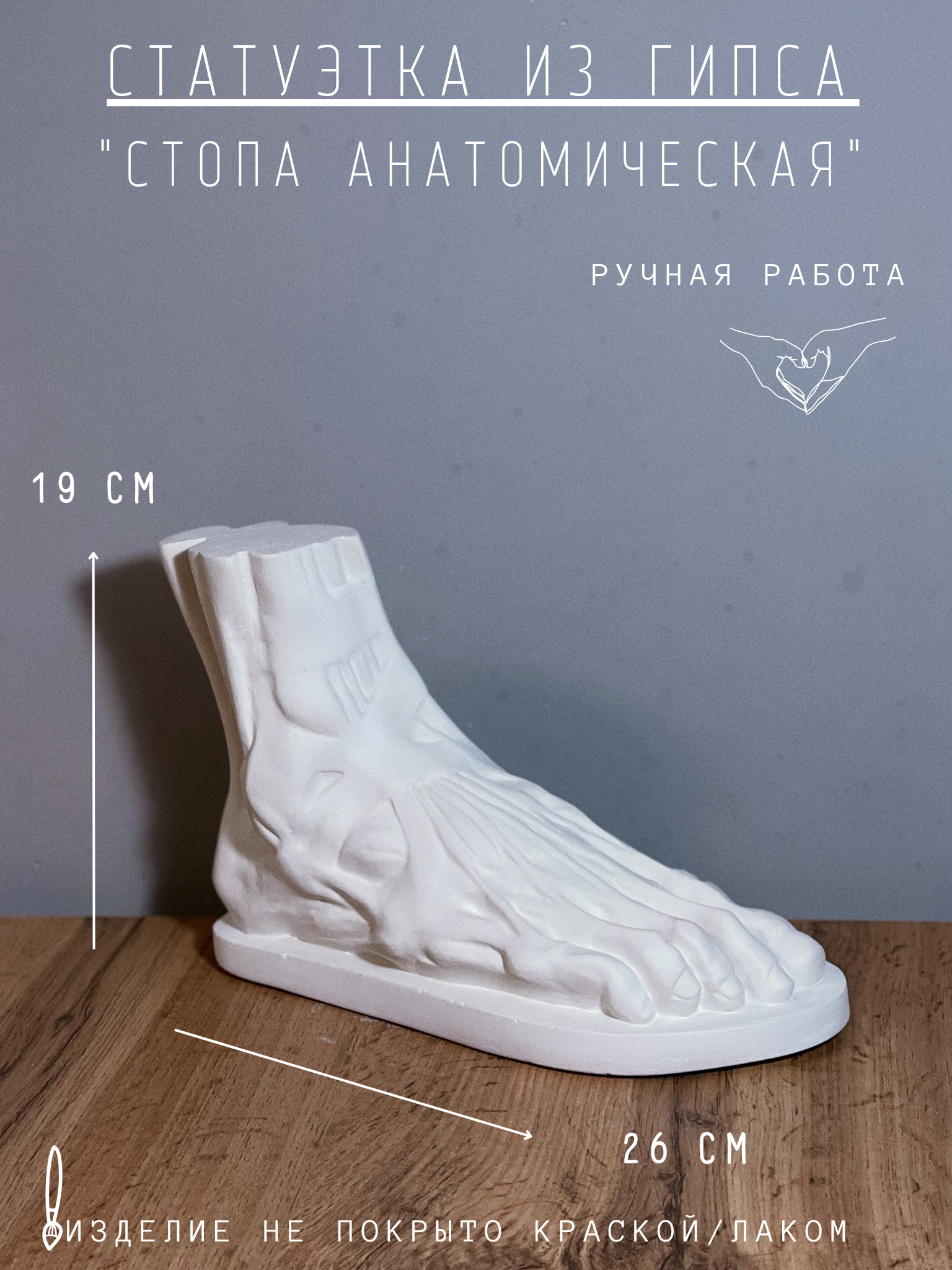 Стопа анатомическая из гипса, 26см, ручная работа, без окрашивания