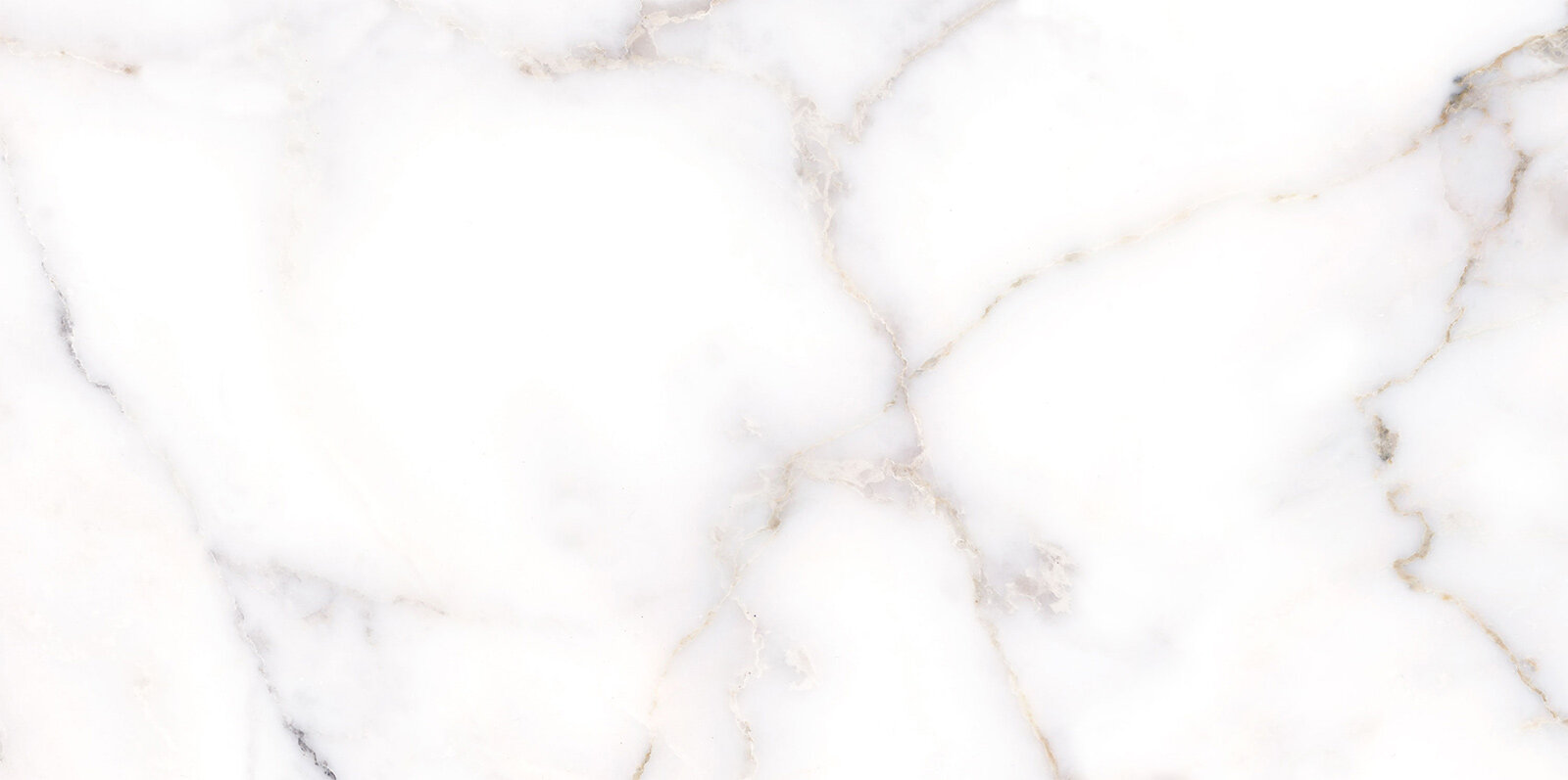 Alma Ceramica Плитка Grigio глянц, 24,9x50 7,5 мм, арт. TWU09GRG007 (цена за 1.494 м2)