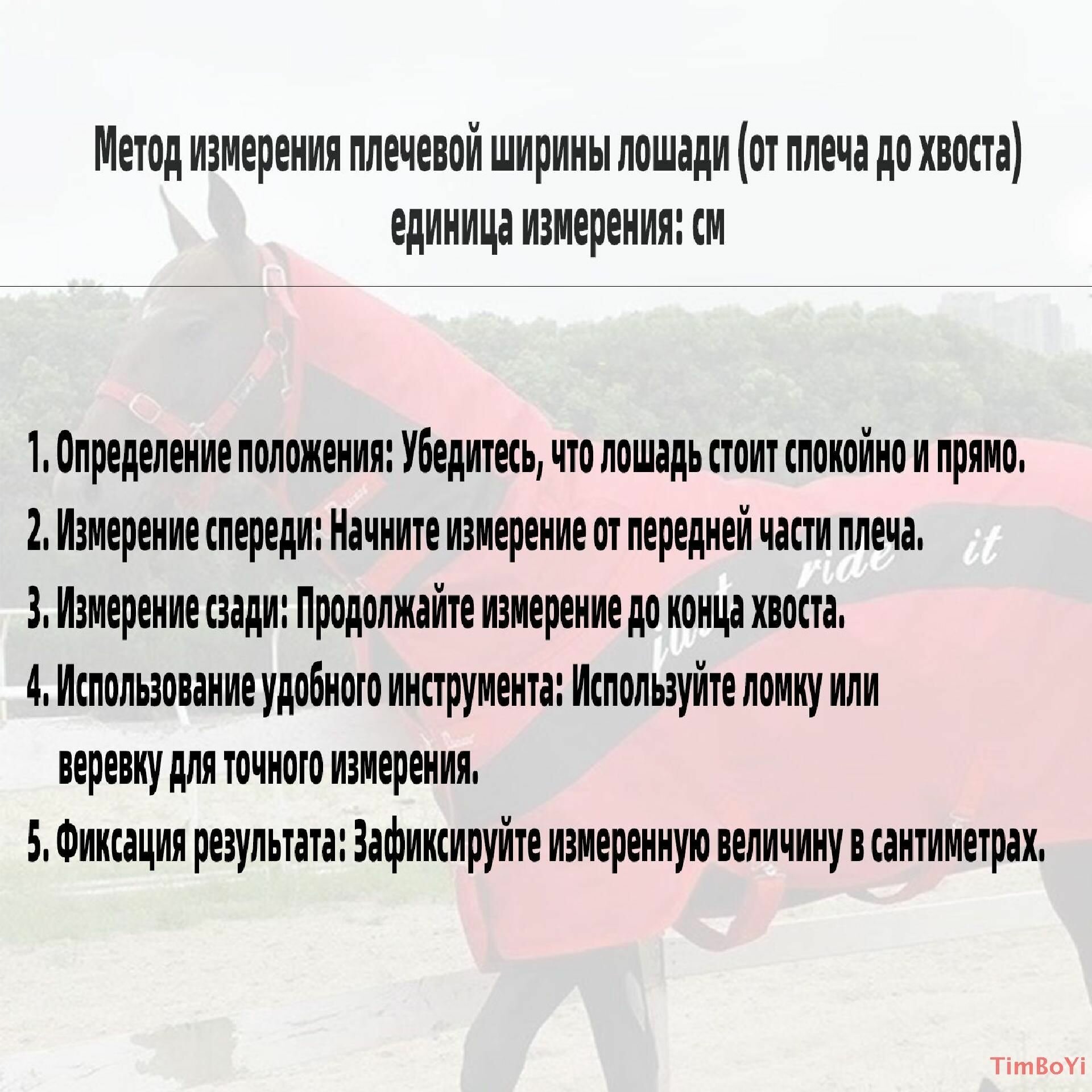 Попона для лошади — фото 1