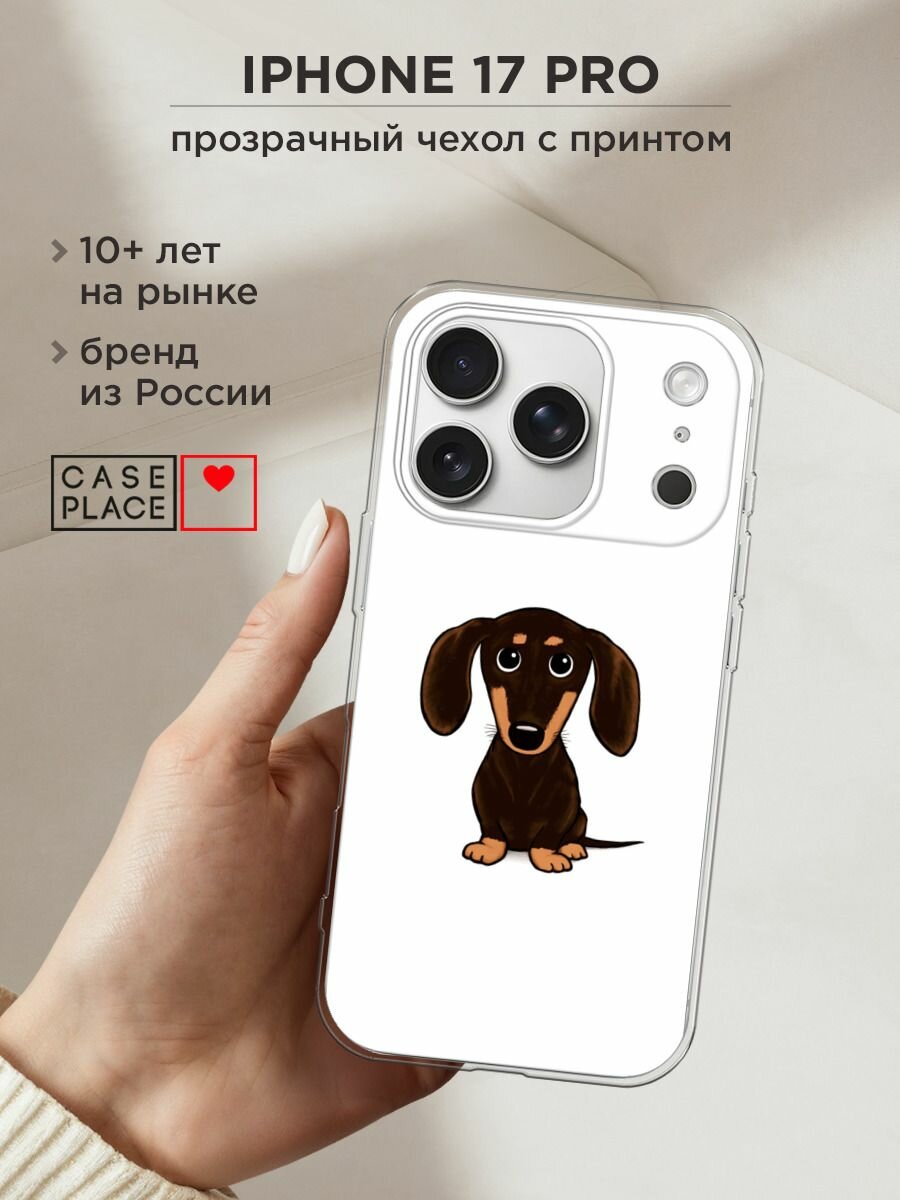 Чехол на Apple iPhone 17 Pro / Айфон 17 Про с принтом "Маленькая такса"