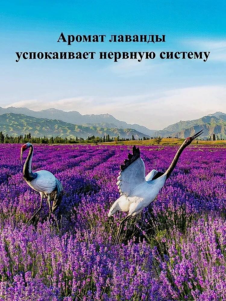 Подушка на глаза для медитации