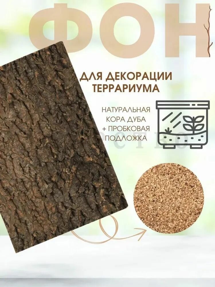 Фон для террариума из натуральной коры пробкового дерева