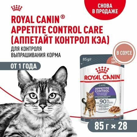 ROYAL CANIN APPETITE CONTROL CARE 28 шт по 85 г влажный корм, мелкие кусочки в соусе для взрослых кошек, для контроля выпрашивания корма