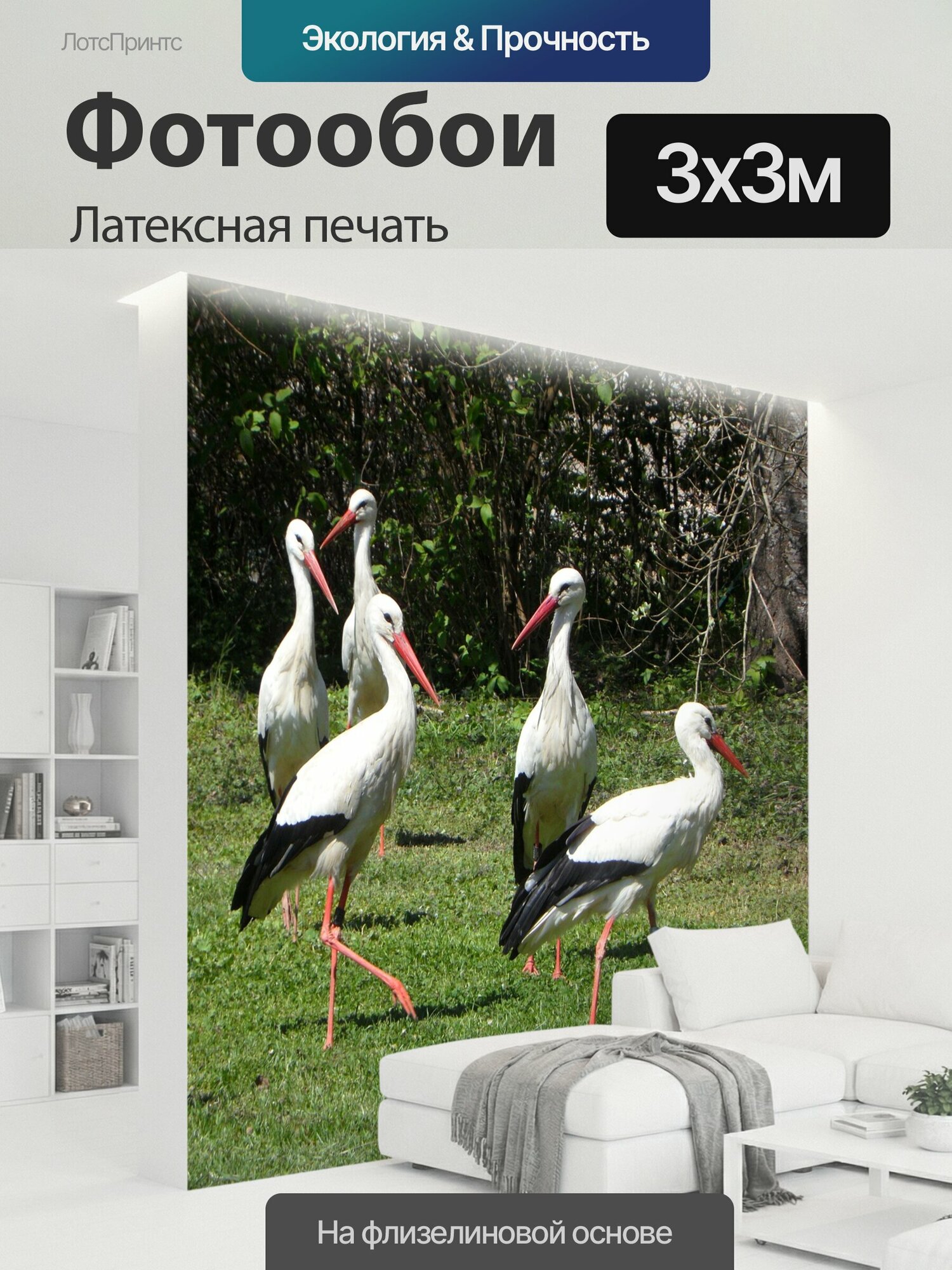Фотообои моющиеся ударопрочные "Аист, аисты, погремушка аист" 300x300 см. латексная печать