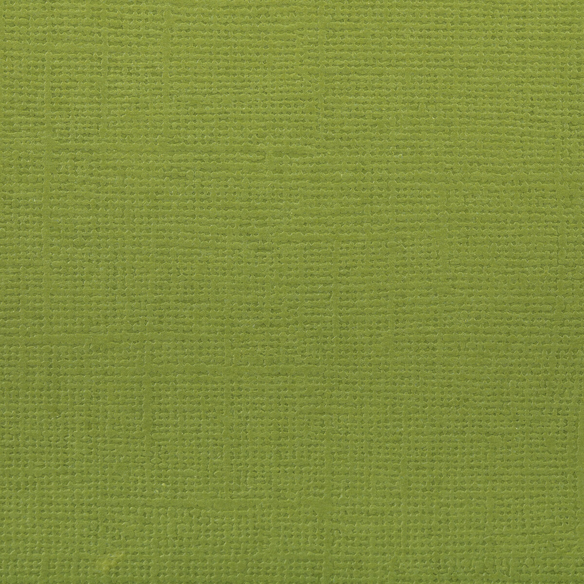 Бумага для скрапбукинга "Mr.Painter" PST 216 г/кв. м 30.5 x 30.5 см 58 Сочный лайм (ярко-зелёный)