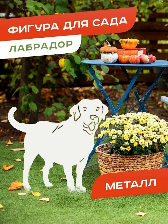 Садовая фигура собака Лабрадор для дачи металлическая