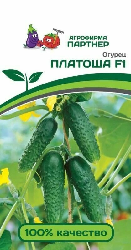Огурец Платоша F1 самоопыляющийся семена Партнер (1 упаковка-5 шт семян)
