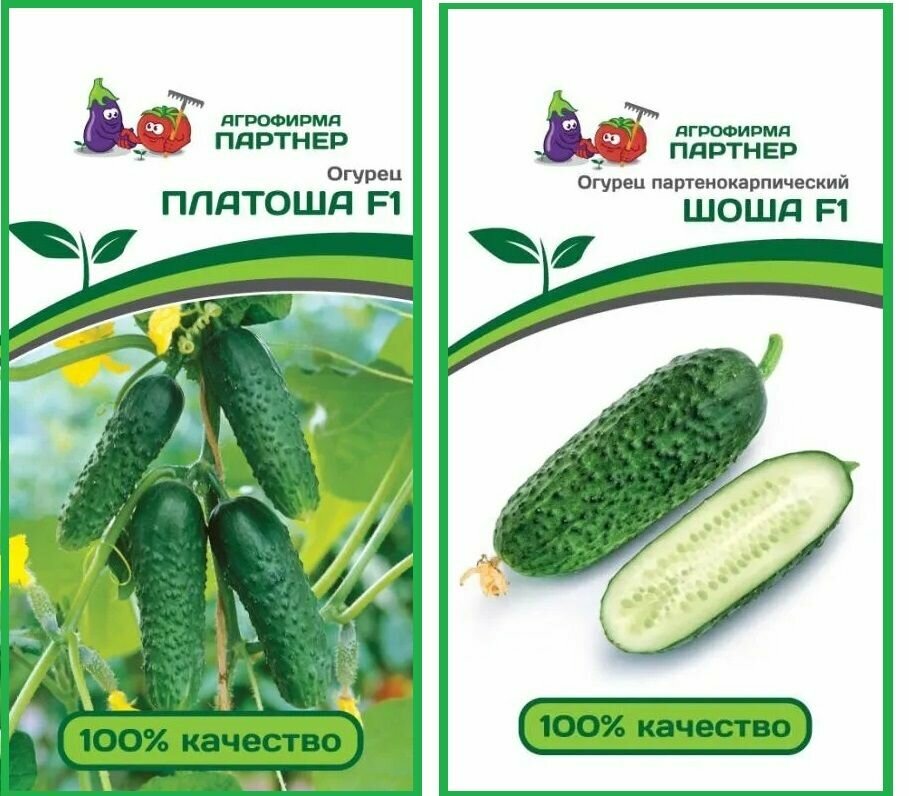 Набор Огурец Платоша F1 + Шоша F1 семена Партнер (2 упаковки* 5 шт семян)