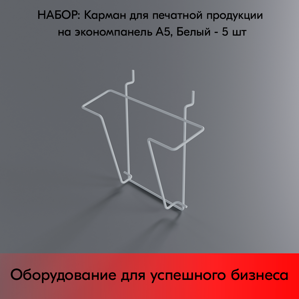 Набор Карман для печатной продукции формата А5 для экономпанели, RAL9016, Белый - 5 шт