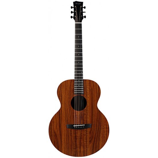 Акустическая гитара Enya EM-X1+