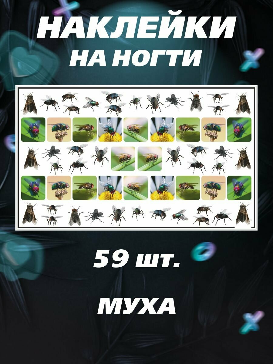 Наклейки для ногтей Муха