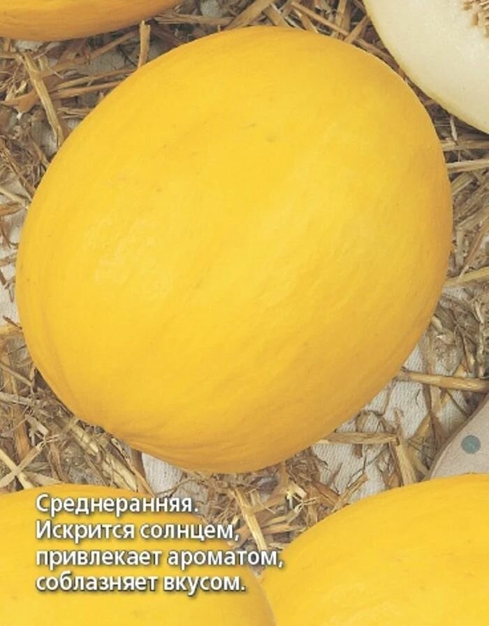 Коллекционные семена дыни Золотистая