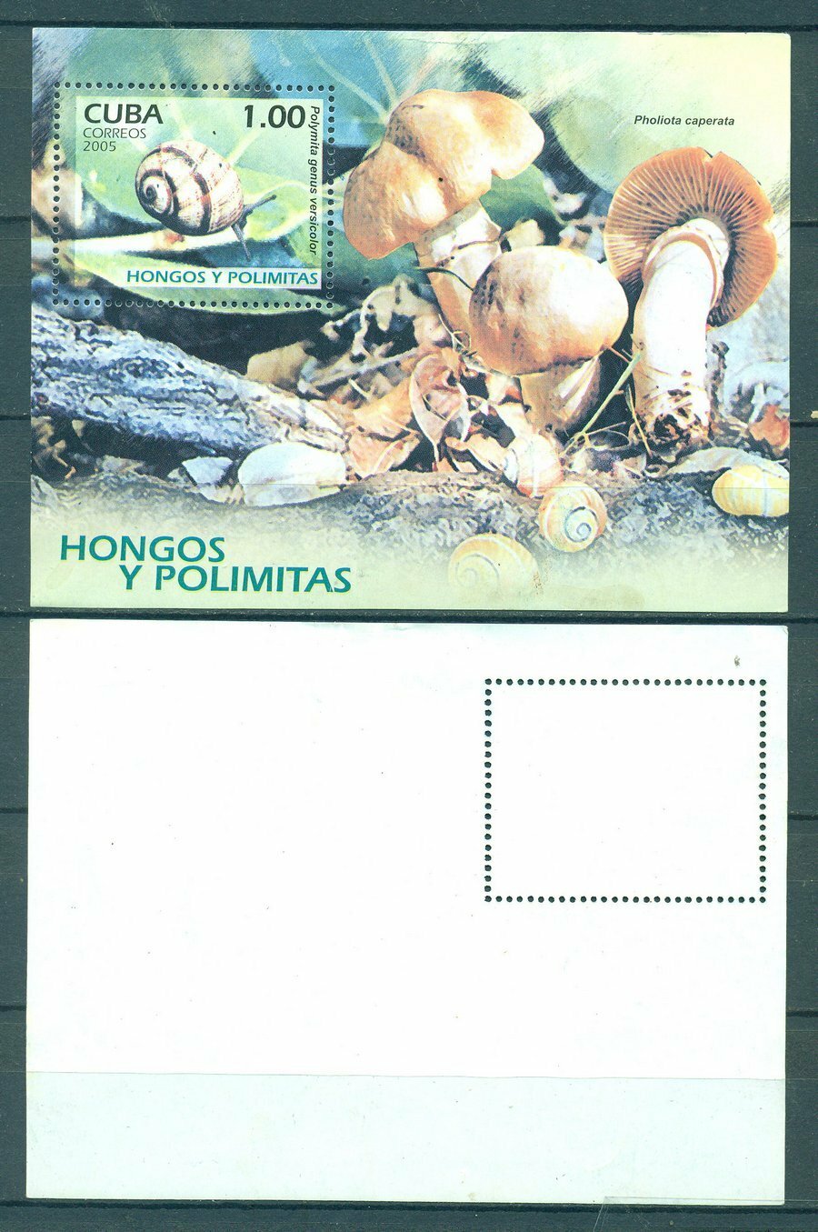 Почтовые марки Куба 2005г. "Улитки и грибы" Грибы, Улитки MNH