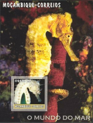Почтовые марки Мозамбик 2002г. "Морская жизнь - морские коньки" Морские животные MNH