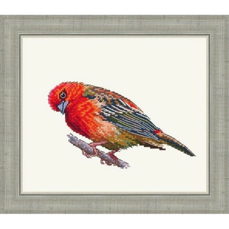 Набор для вышивания Сделано с любовью #Ж-083 Мадагаскарский красный фуди, Счетный крест, 20 х 13 см