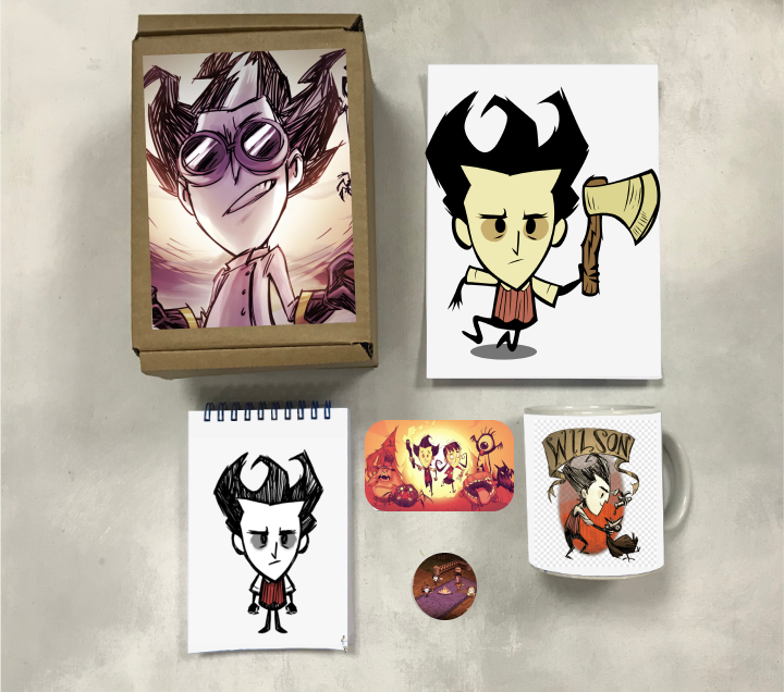 Бокс Don t Starve №12, товары с нашими рандомными картинками