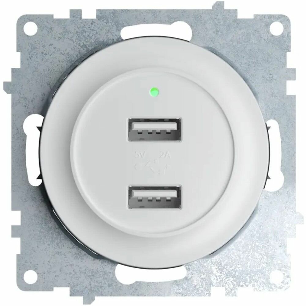 Розетка USB двойная OneKeyElectro, с подсветкой, цвет белый