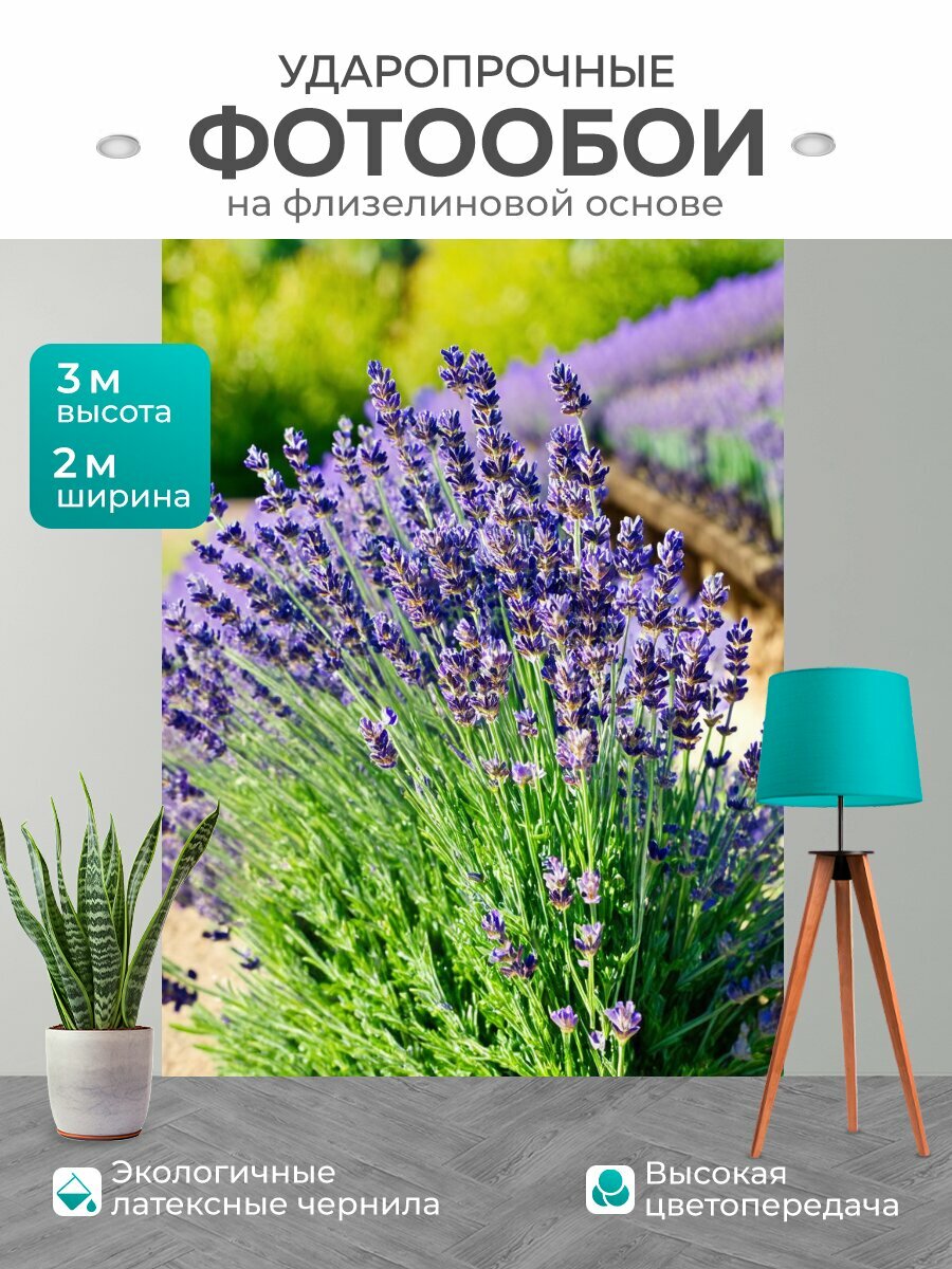 Фотообои моющиеся ударопрочные на кухню "В стиле прованс с цветами лаванды и мягкими текстурами" 200x300 см. флизелиновые на стену