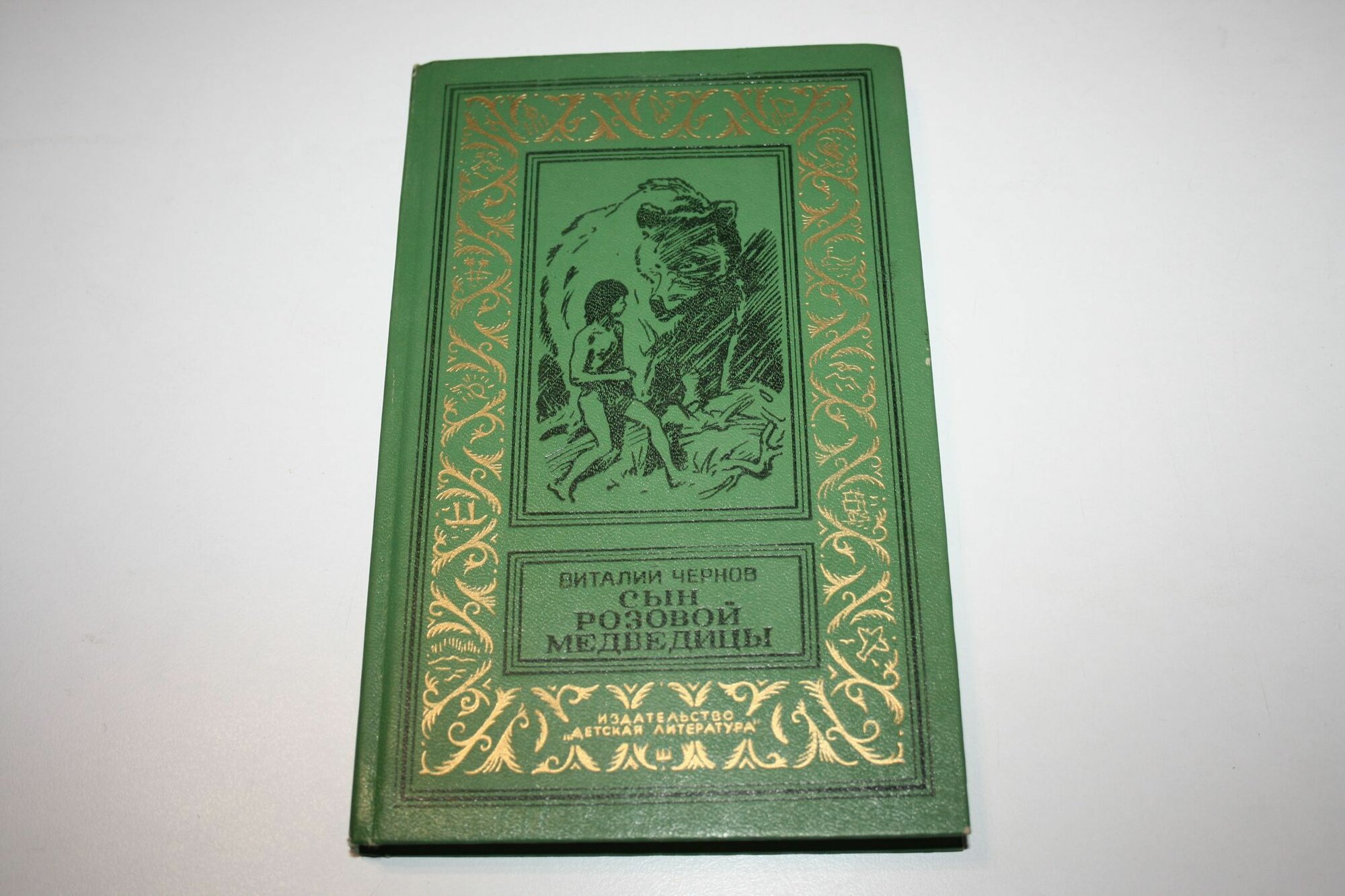 Сын Розовой Медведицы. Фантастический роман