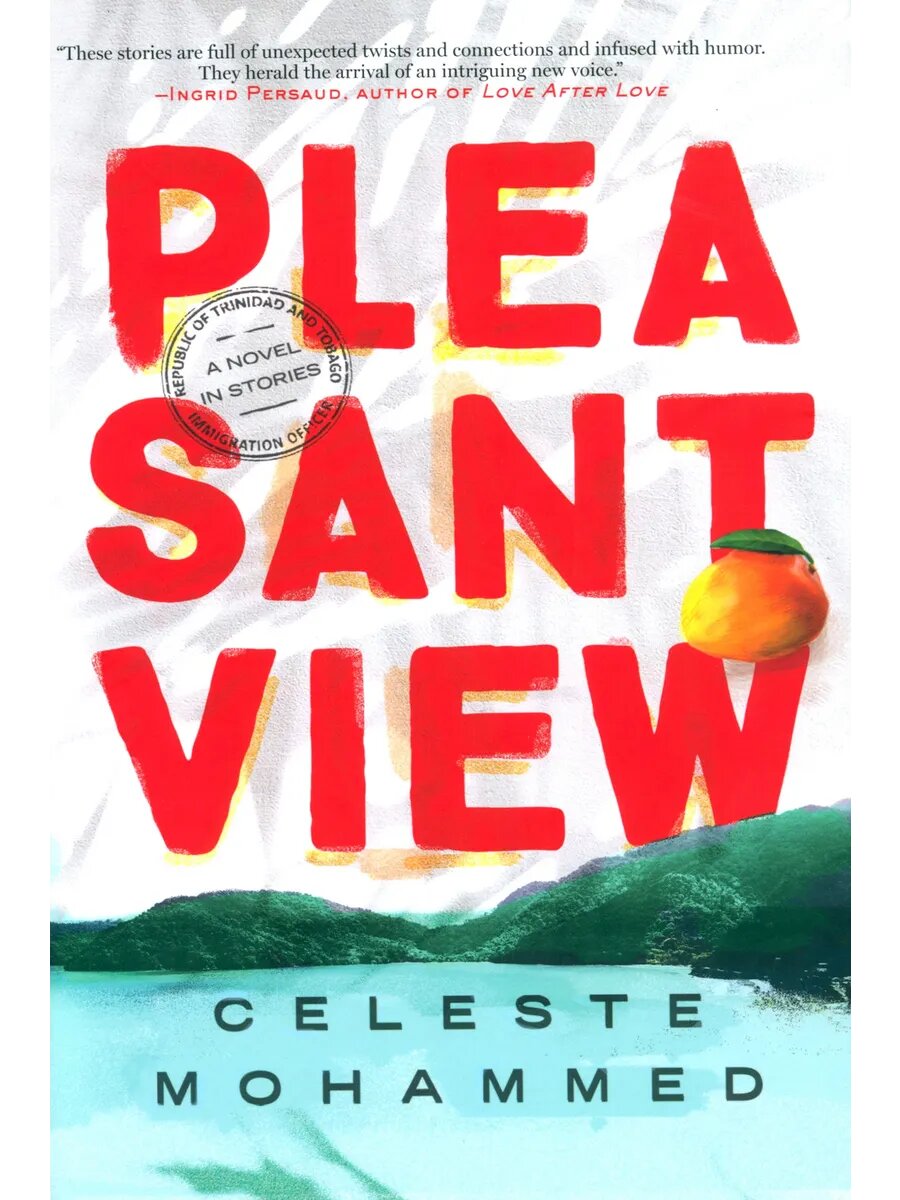 Pleasantview / Книга на Английском
