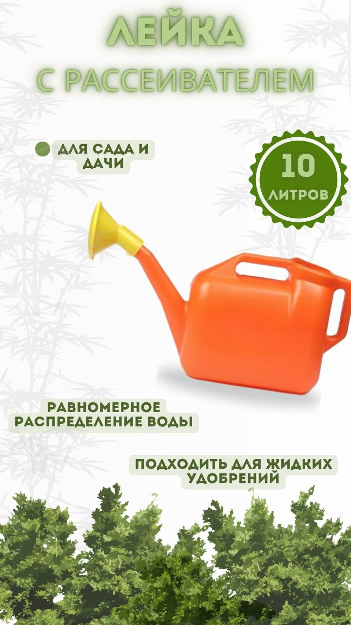 Лейка садовая 10л с рассеивателем