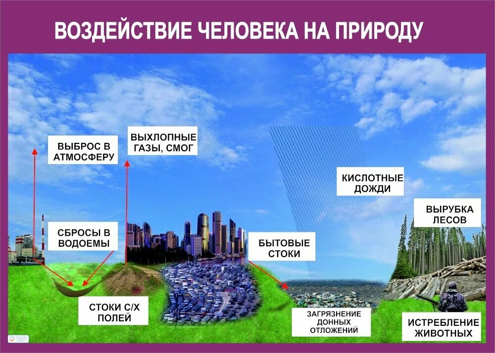 Таблица демонстрационная "Воздействие человека на природу"