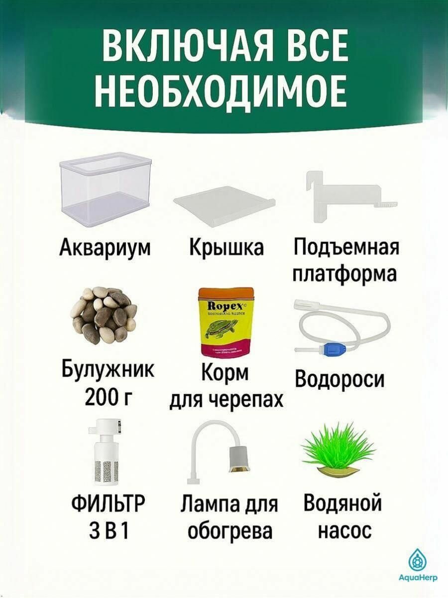 Аквариум — фото 1
