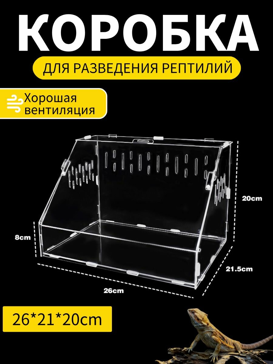 Акриловый террариум для рептили, Коробка разведения рептилий, с магнитной пряжкой, прозрачная и видимая.