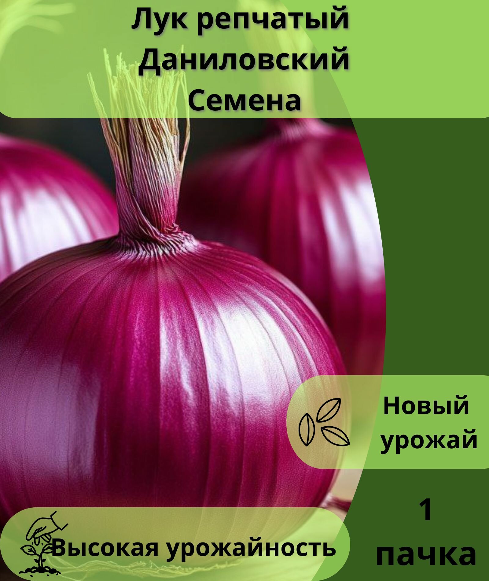 Лук репчатый Даниловский, семена 10шт