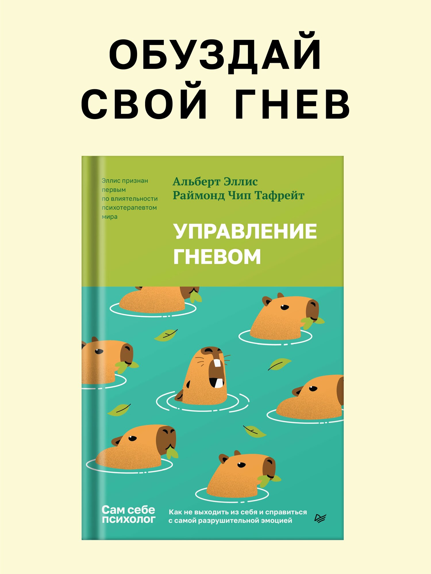 Управление гневом. Как не выходить из себя и справиться с самой разрушительной эмоцией / книги по психологии