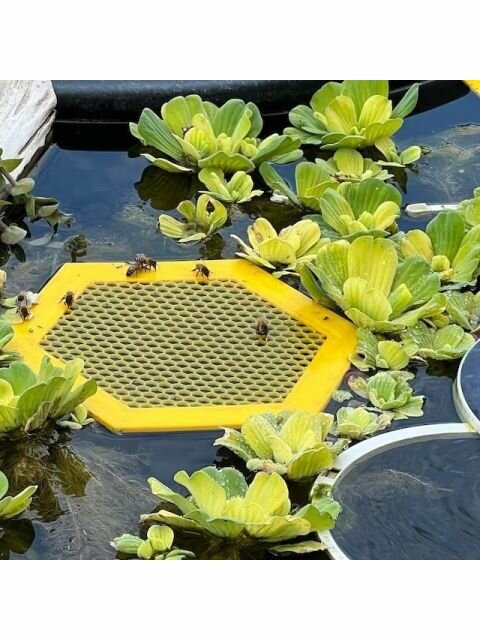 Пластиковая поилка для пчел, пчеловодная кормушка для питьевой воды