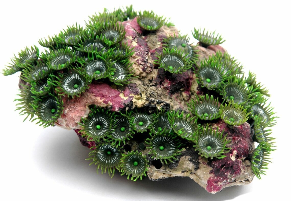 Искусственная композиция Vitality из кораллов (SH201CG)