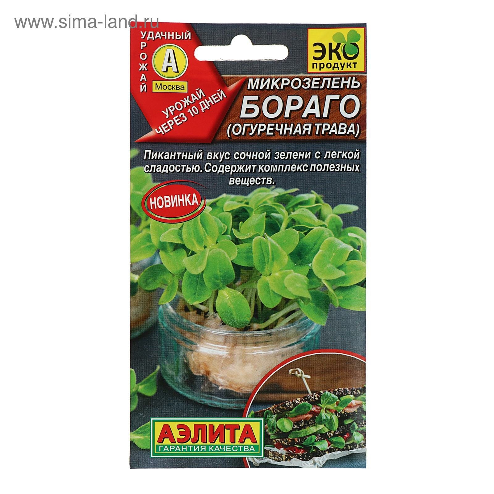 Семена Микрозелень «Бораго» (огуречная трава), 3 г, «Аэлита»