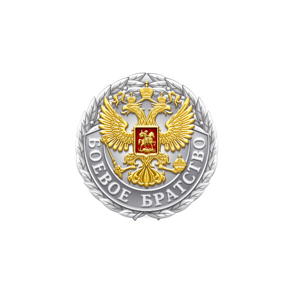 9сво Значок лацканный "Боевое братство"