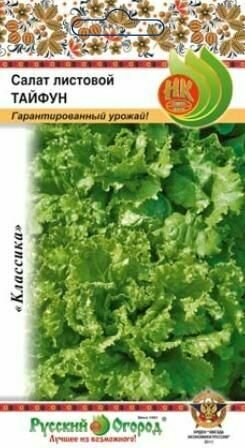 Салат листовой Тайфун (2 упаковки* 1г семян)