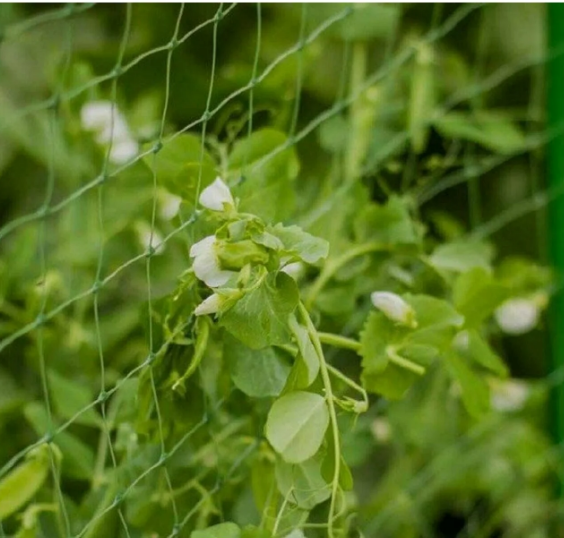 Сетка для гороха У-45/1/6 Протэкт У-45/1/6
