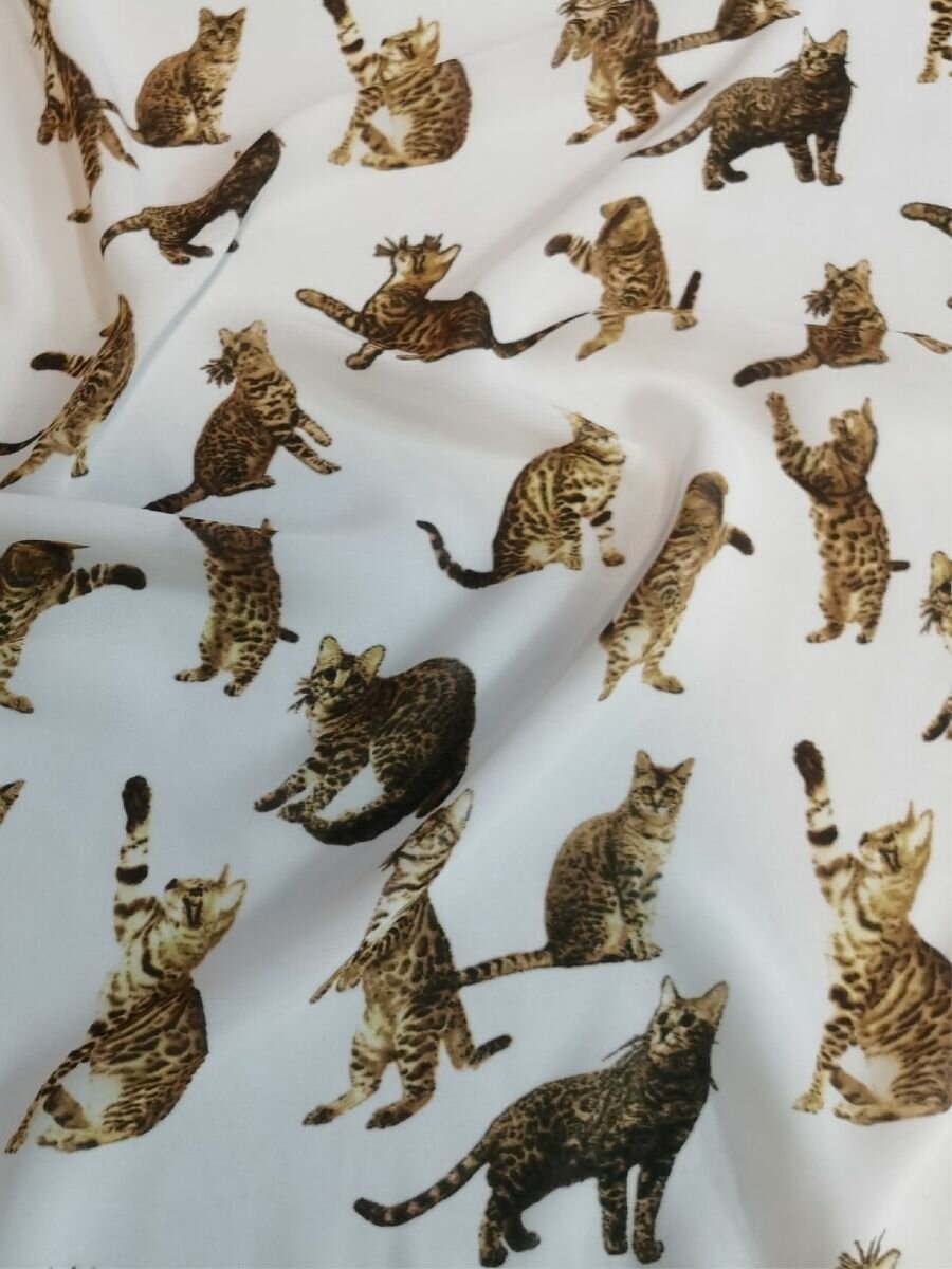 Шифон "Бенгальские кошки" 150х145 см.