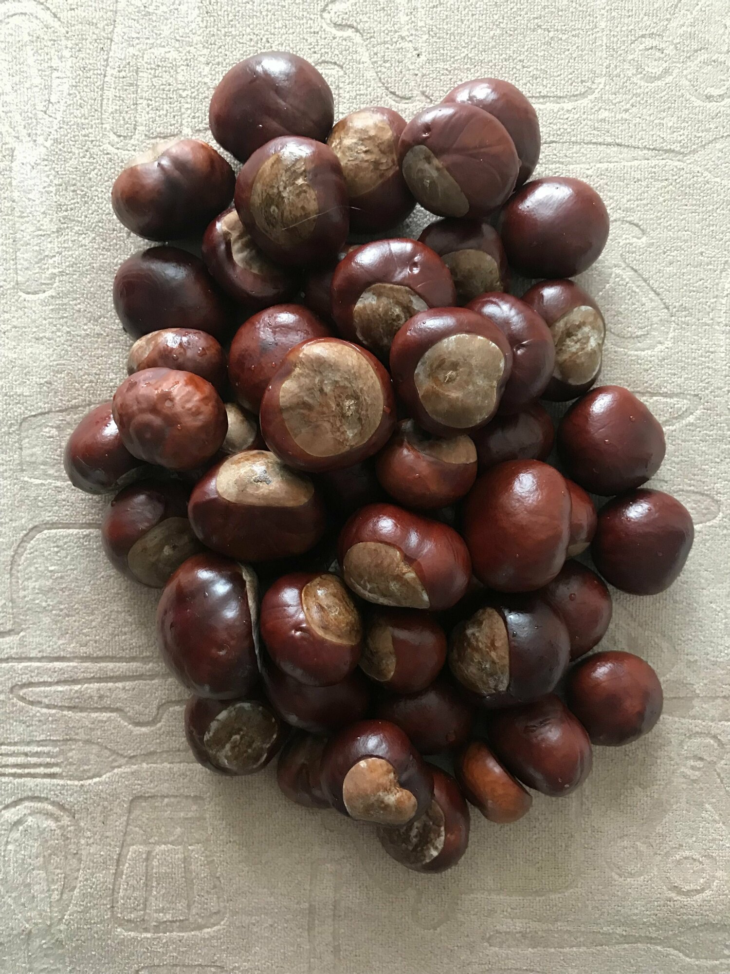Каштаны для поделок, для ваших творческих идей. 1000 грамм. Не сьедобные. Большие средние, маленькие