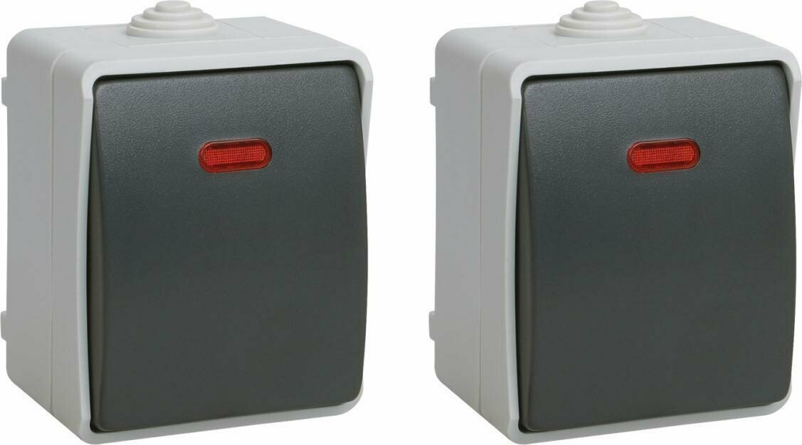 Выключатель IEK Форс одноклавишный с индикацией для открытой проводки IP54 серый (комплект из 2 шт)