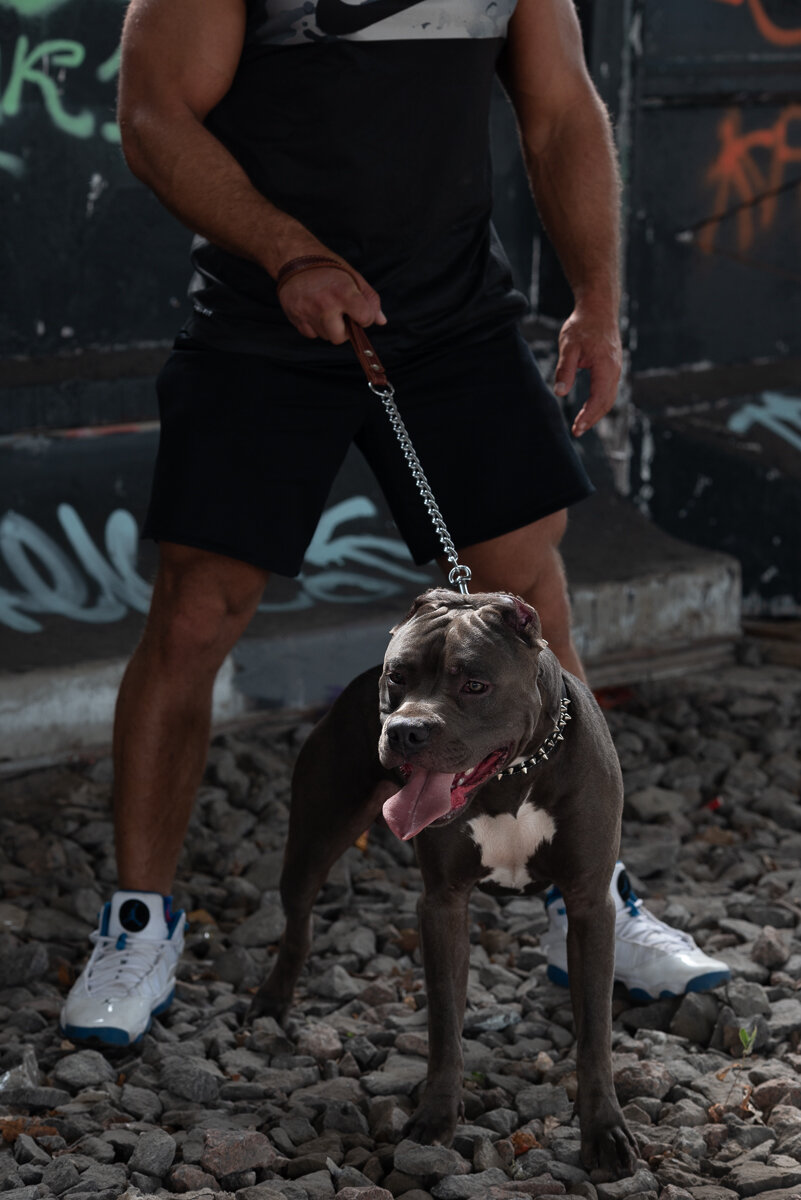 Поводок-цепь (водилка) CHOKERZ премиум (длина 67 см; цепь - 4 мм)