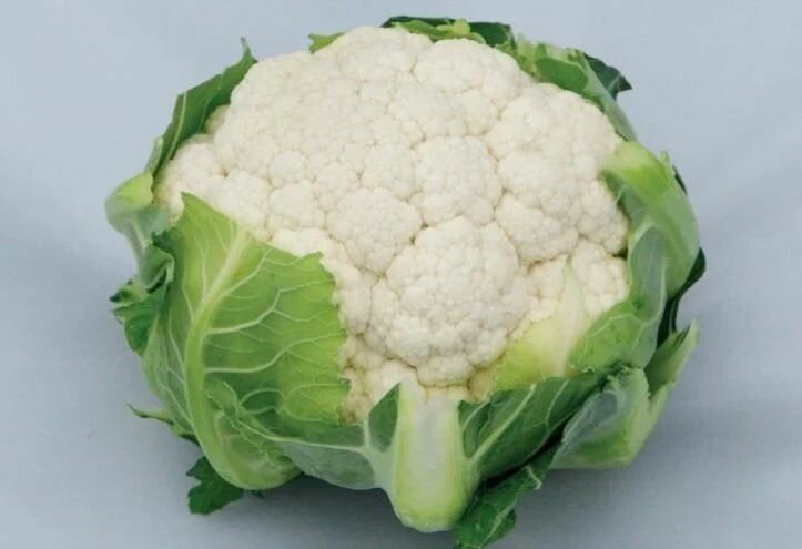 Коллекционные семена капусты цветная Гохан F1