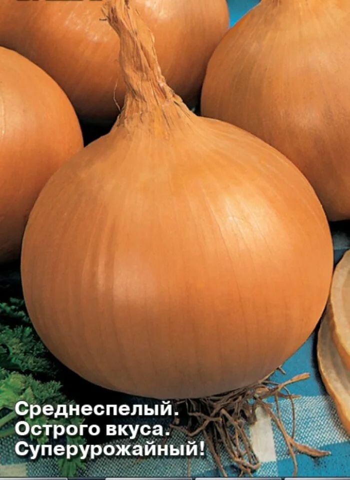 Коллекционные семена лука репчатый Башар